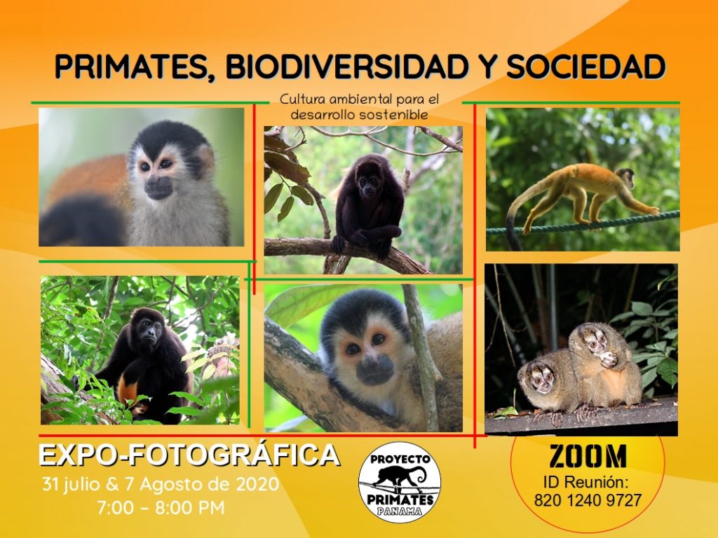Biodiversidad – Proyecto Primates Panamá
